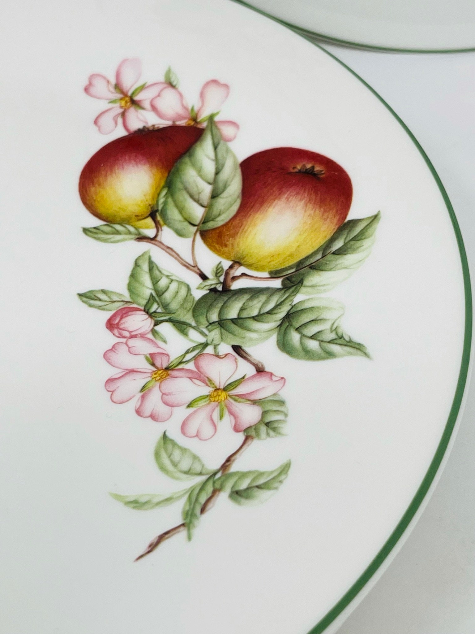 Fruit Dinner Plates - Marks & Spencer Plates - Fine English China ...