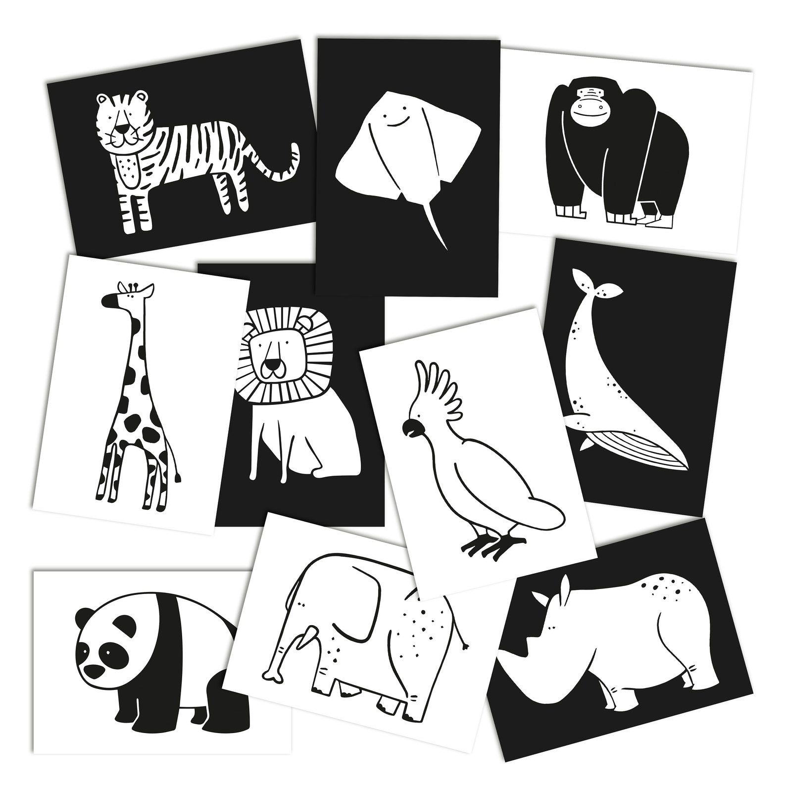 High Contrast Newborn Cards | Black and White Flashcards Stimulation ...