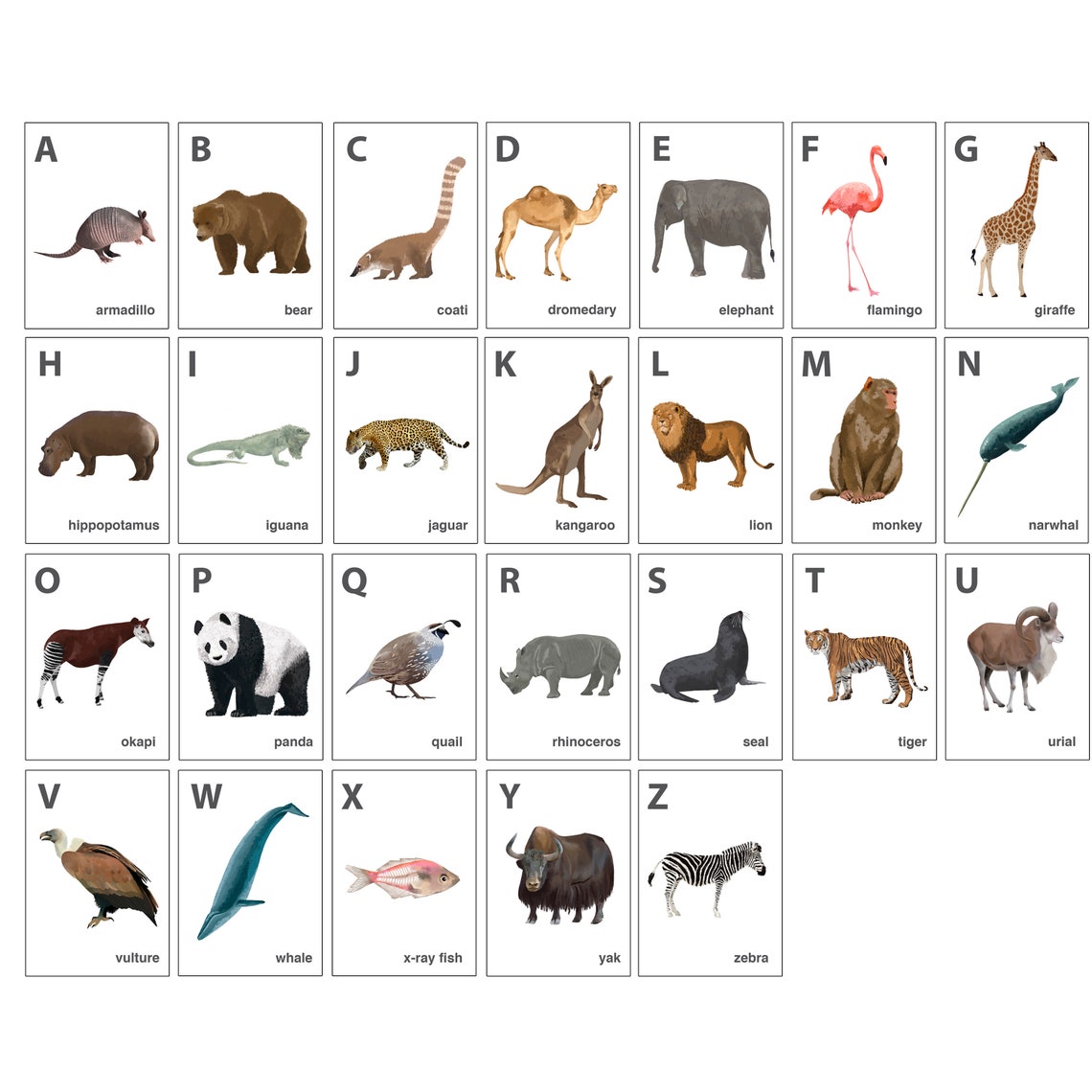 Alphabet Flash Cards | Wall Display | Animal Cards A to Z | Watercolor ...