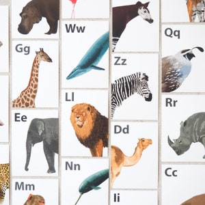 Alphabet Flash Cards | Wall Display | Animal Cards A to Z | Watercolor ...