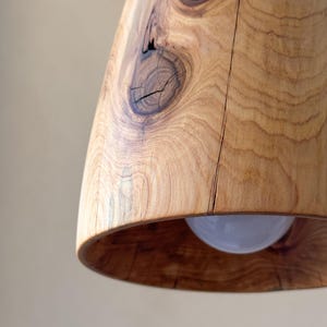 Natural Wood Pendant Lighting, Sculpture Ceiling Lamp, Hanging Light ...