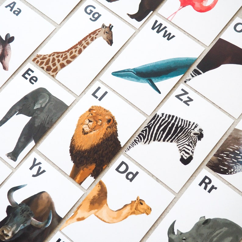 Flash Cards Alphabet Wall Display Animal Cards A to Z | Etsy