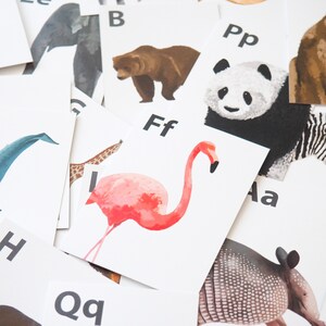 Alphabet Flash Cards Wall Display Animal Cards A to Z Watercolor ...