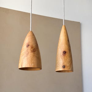 Natural Wood Pendant Lighting, Sculpture Ceiling Lamp, Hanging Light ...