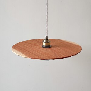 Natural Cedar Wood Pendant Lighting, Sculpture Ceiling Lamp, Hanging ...