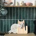 Cat Cheese Board W/ Dishtowel. Wood Kitchen Decor. Gift Ideas for Cat ...