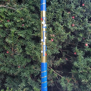 Sigma Gamma Rho Cane - Letters, Rubies and Pearls / Wrapped Cane - Etsy