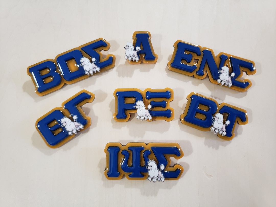 Sigma Gamma Rho Custom Chapter Lapel Pin, Brooch, Sgrho Pin, Button - Etsy