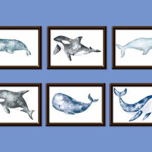 Set of 6 Ocean Prints, Sharks Whales Species Art, Watercolor Painting ...