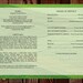 Green Funeral Program Template for Men Green Celebration of - Etsy Canada