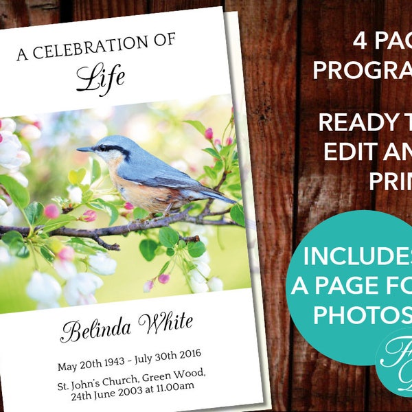 Bird Memorial - Etsy