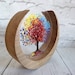 Glass Rainbow Circle of Life Tree - Etsy UK