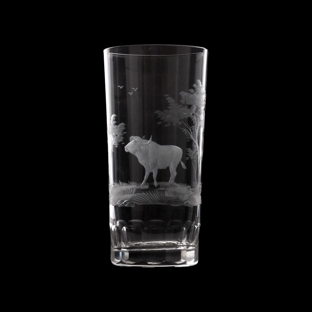 ROWLAND WARD Crystal Highball Glass / Glasses Buffalo - Etsy