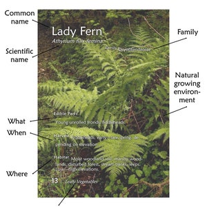 The Northwest Forager's Pocket Guide to Wild Edible Plants. Hikers ...