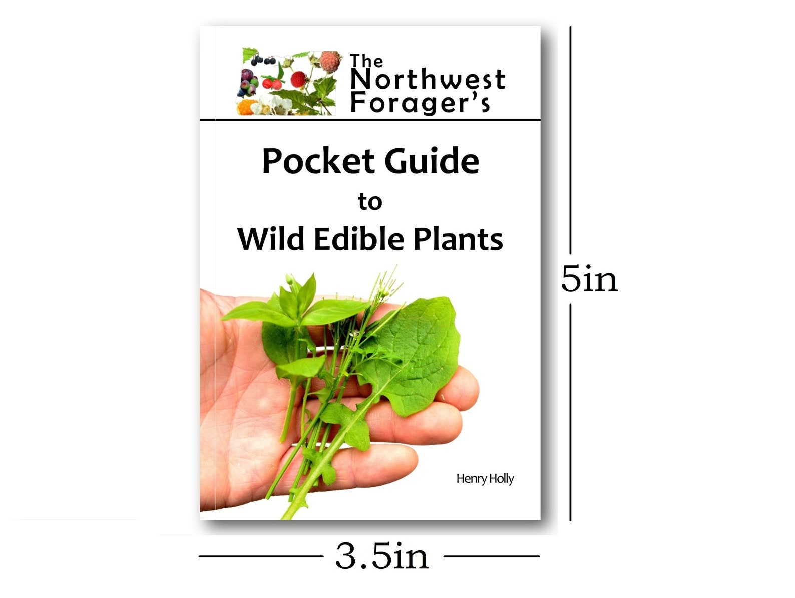 The Northwest Forager's Pocket Guide to Wild Edible Plants. Hikers ...