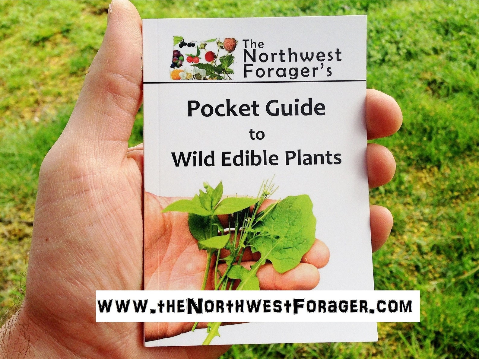 The Northwest Forager's Pocket Guide to Wild Edible Plants. Hikers ...