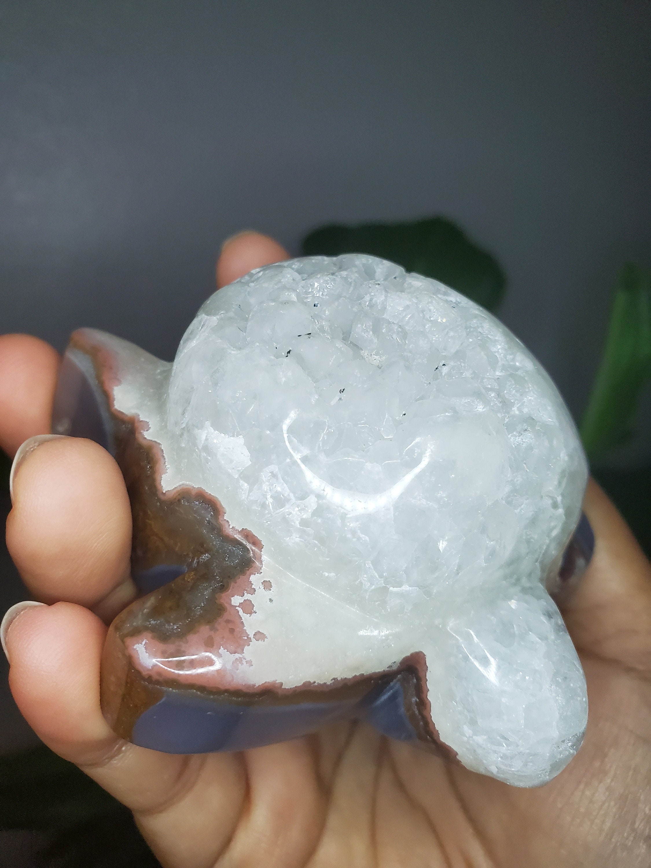 Agate Geode Turtle Agate Geode Turtle Carving Animal - Etsy Australia