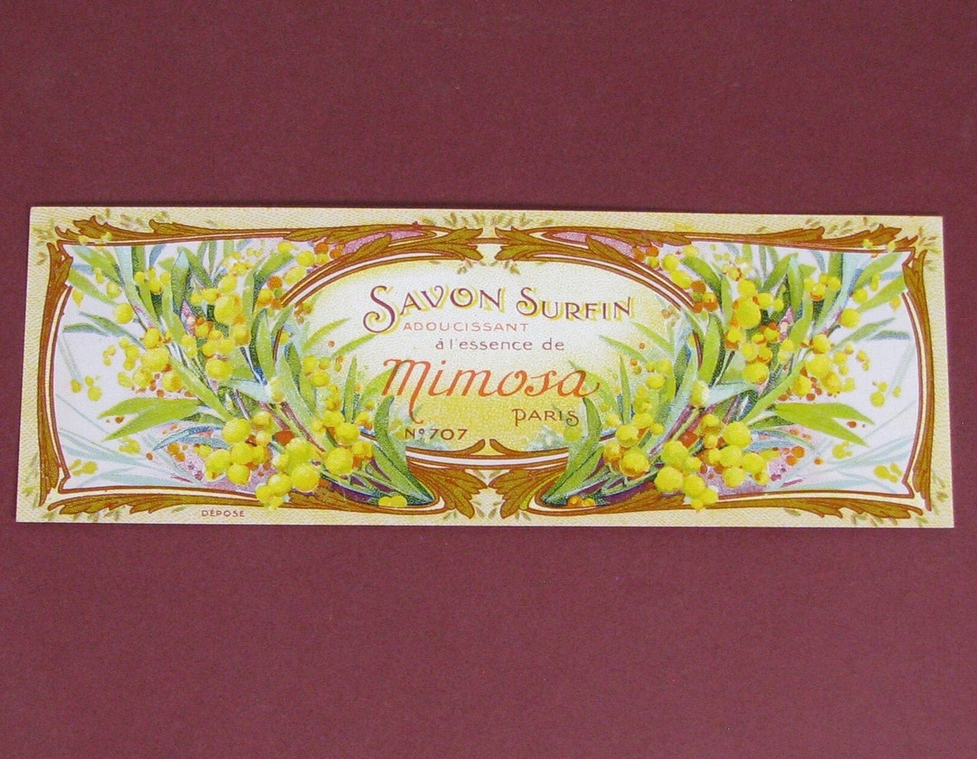 Art Nouveau Mimosa Soap Label: 1910 Vintage French Lithograph - Etsy
