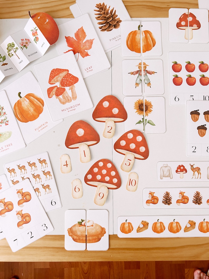 Printable Autumn Study Unit for Toddlers Bilingual - Etsy