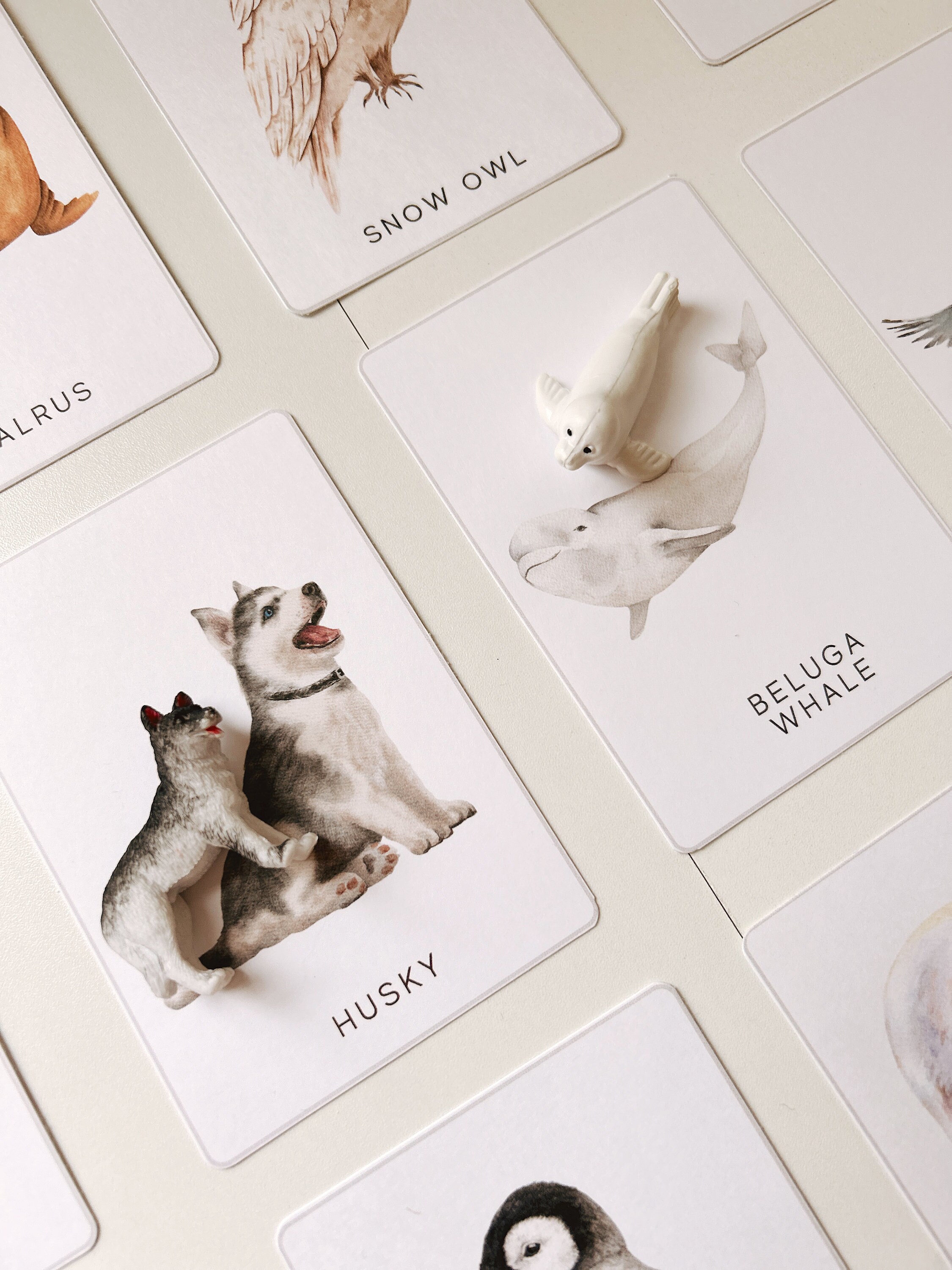 Printable Arctic Forest Animal Cards | Toobs Matching Cards, Montessori ...