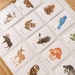Printable Forest Animal Cards Toobs Matching Cards, Montessori Flash ...
