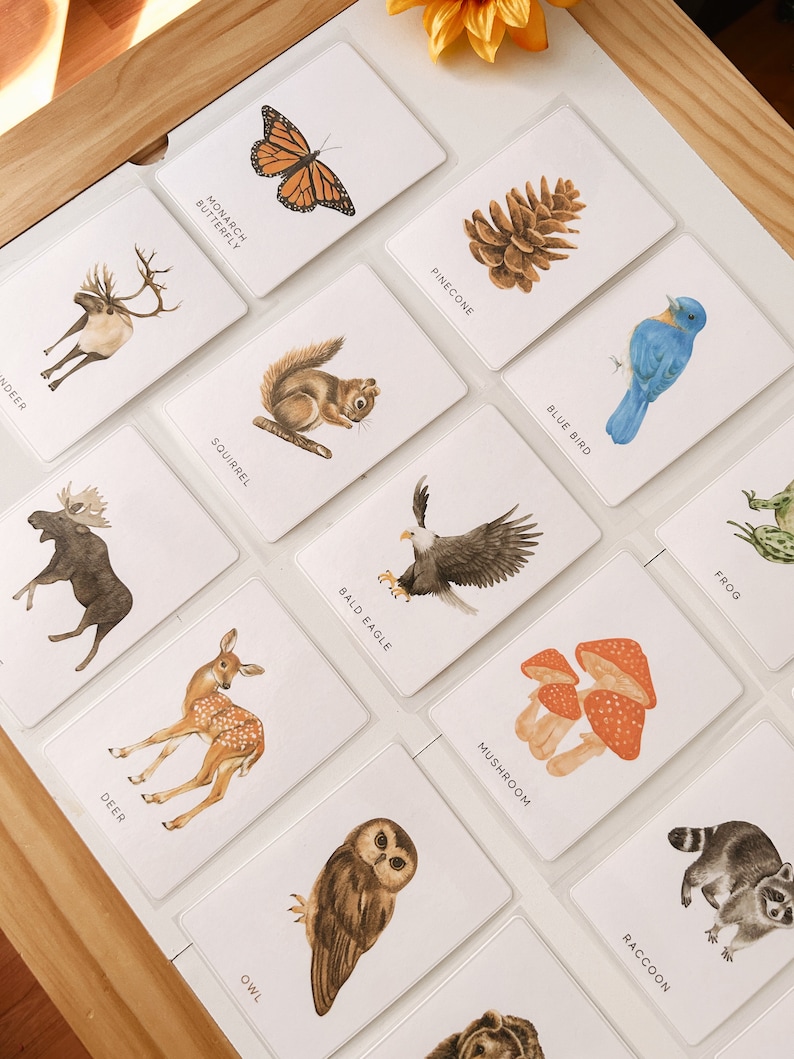 Printable Forest Animal Cards Toobs Matching Cards, Montessori Flash ...