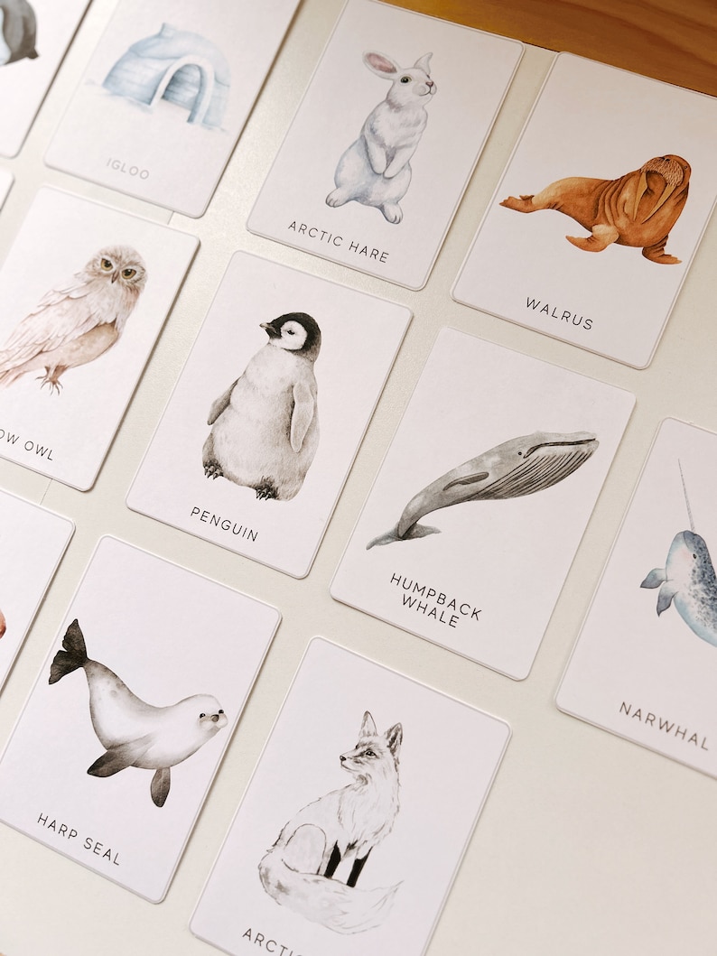 Printable Arctic Forest Animal Cards | Toobs Matching Cards, Montessori ...