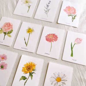 Printable Flower Botany Cards | Montessori Cards, Homeschool Resources ...