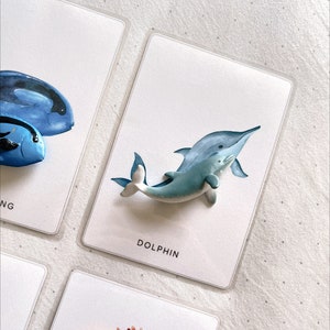 Printable PDF Ocean Animal Cards | Toobs Matching Cards, Montessori ...