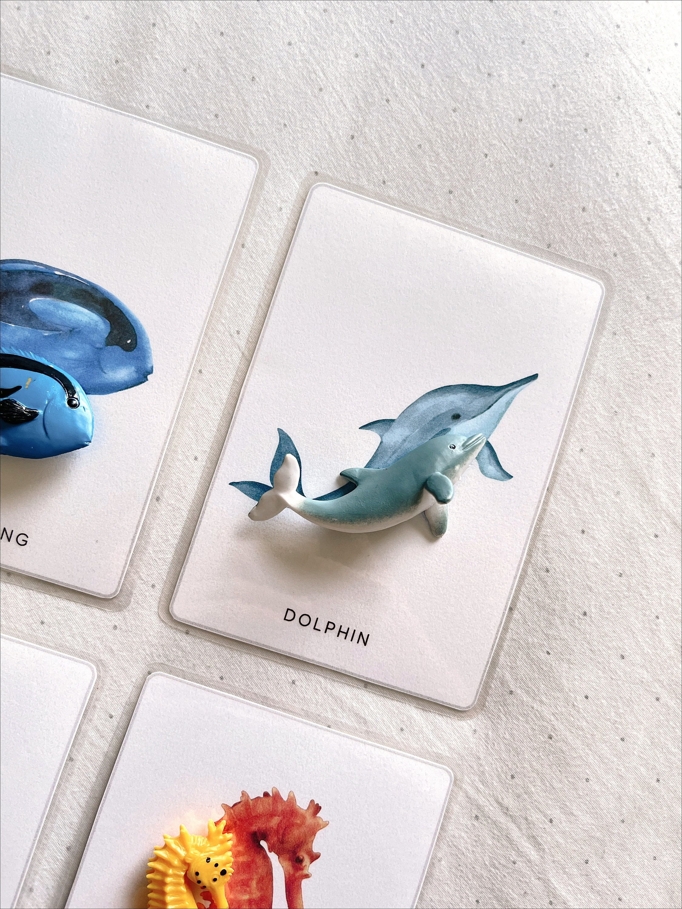 Printable PDF Ocean Animal Cards | Toobs Matching Cards, Montessori ...