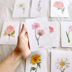 Printable Flower Botany Cards | Montessori Cards, Homeschool Resources ...