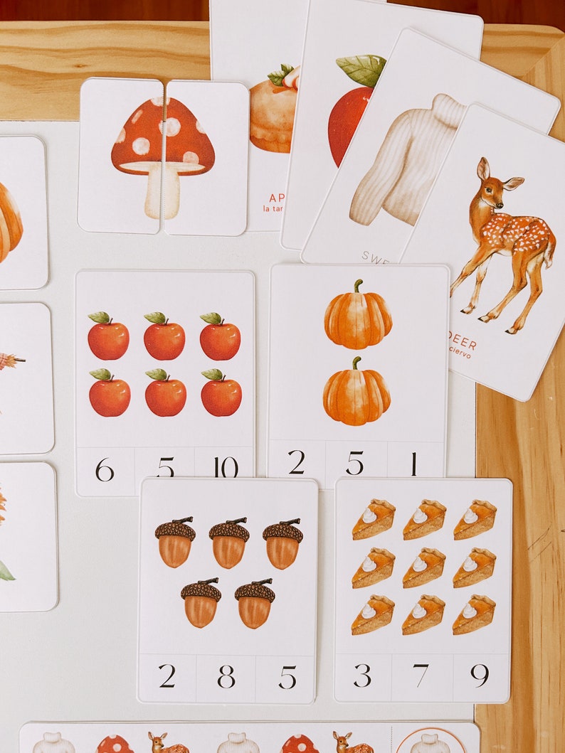 Printable Autumn Study Unit for Toddlers | Bilingual Printable, Fall ...