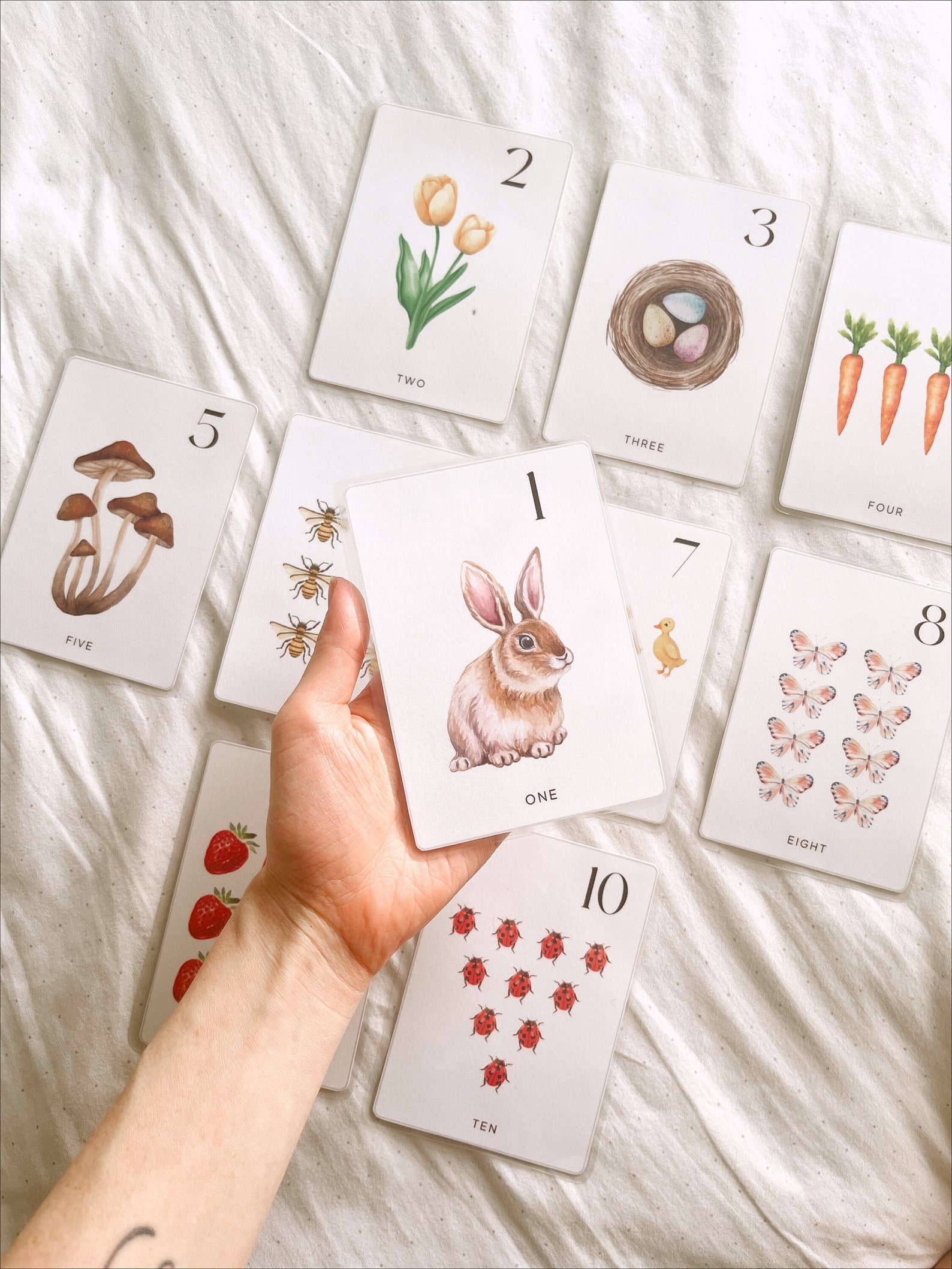 Printable Watercolor Nature Number Cards 1-10 Preschool - Etsy