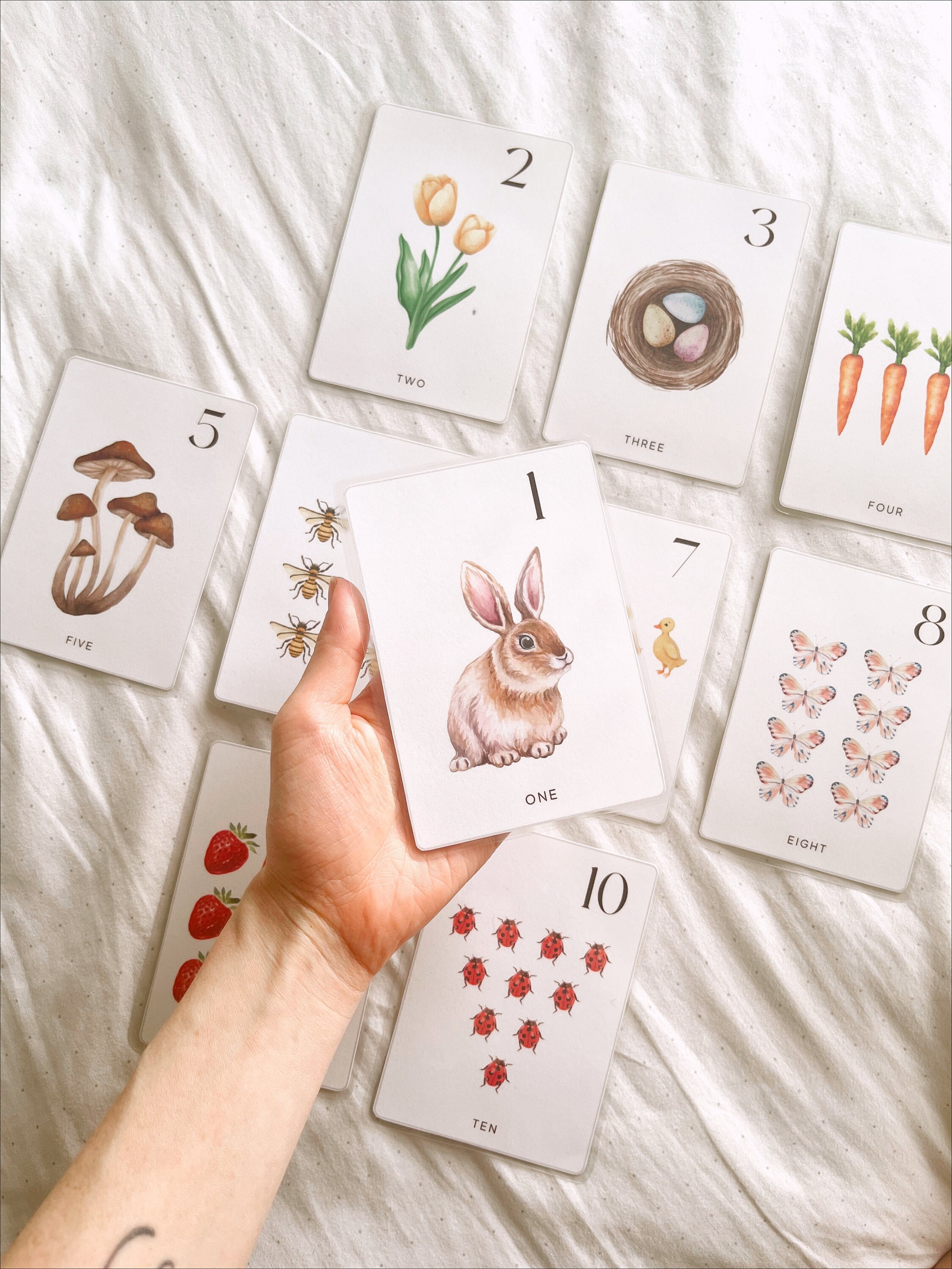Printable Watercolor Nature Number Cards 1-10 Preschool - Etsy