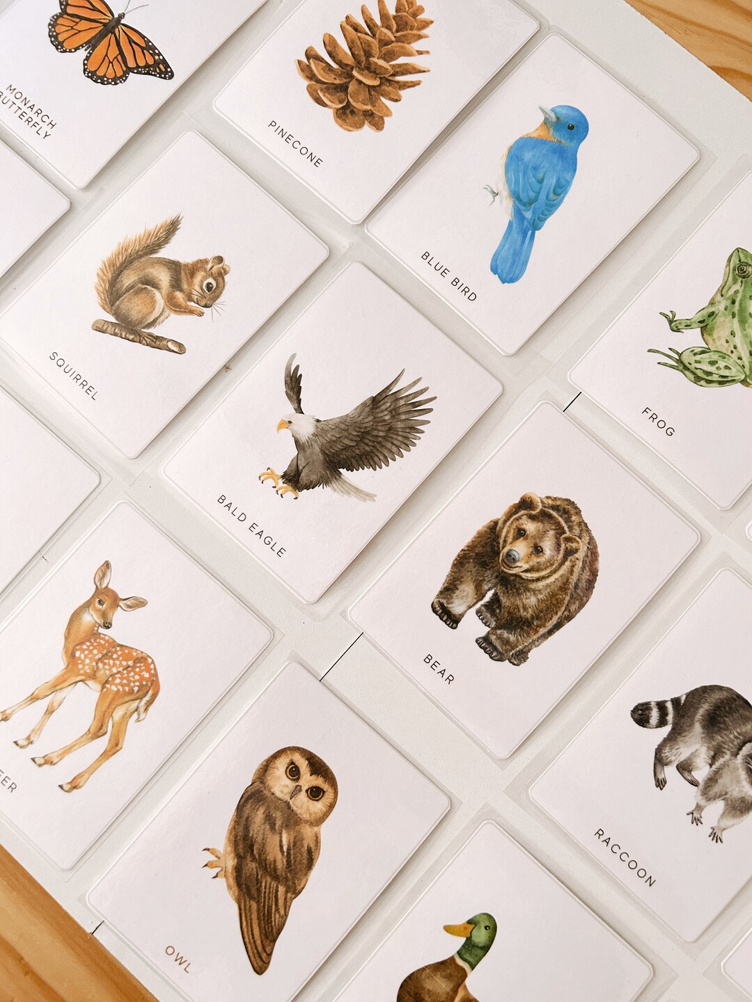 Printable Forest Animal Cards | Toobs Matching Cards, Montessori Flash ...