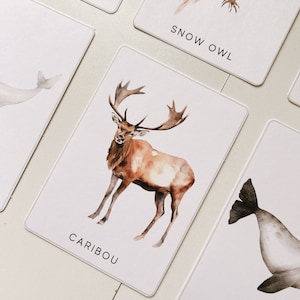 Printable Arctic Forest Animal Cards | Toobs Matching Cards, Montessori ...