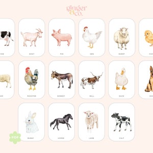 Printable Farm Animal Cards | Toobs Matching Cards, Montessori Flash ...