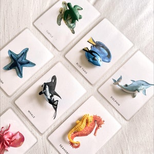 Printable PDF Ocean Animal Cards | Toobs Matching Cards, Montessori ...