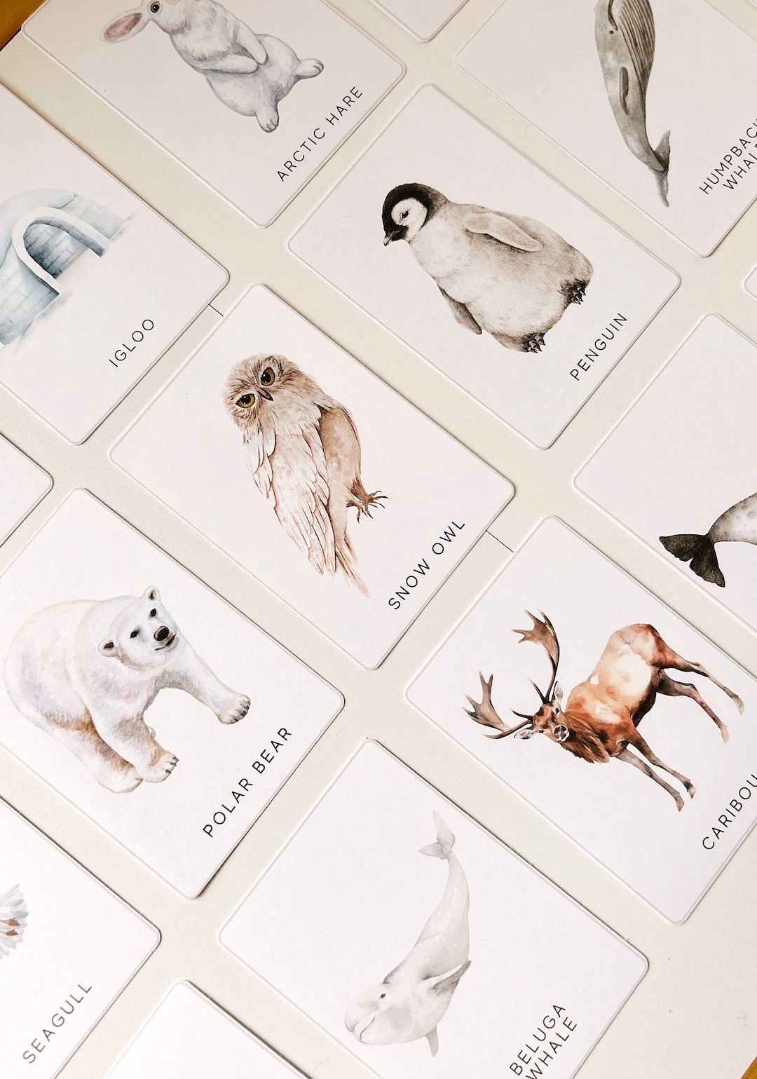 Printable Arctic Forest Animal Cards | Toobs Matching Cards, Montessori ...