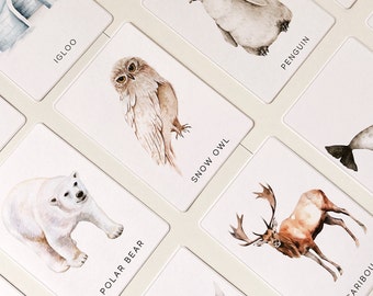 Printable Forest Animal Cards | Toobs Matching Cards, Montessori Flash ...