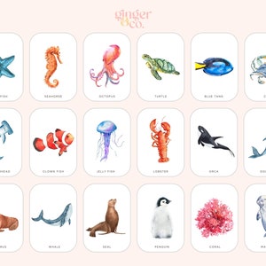 Printable PDF Ocean Animal Cards | Toobs Matching Cards, Montessori ...