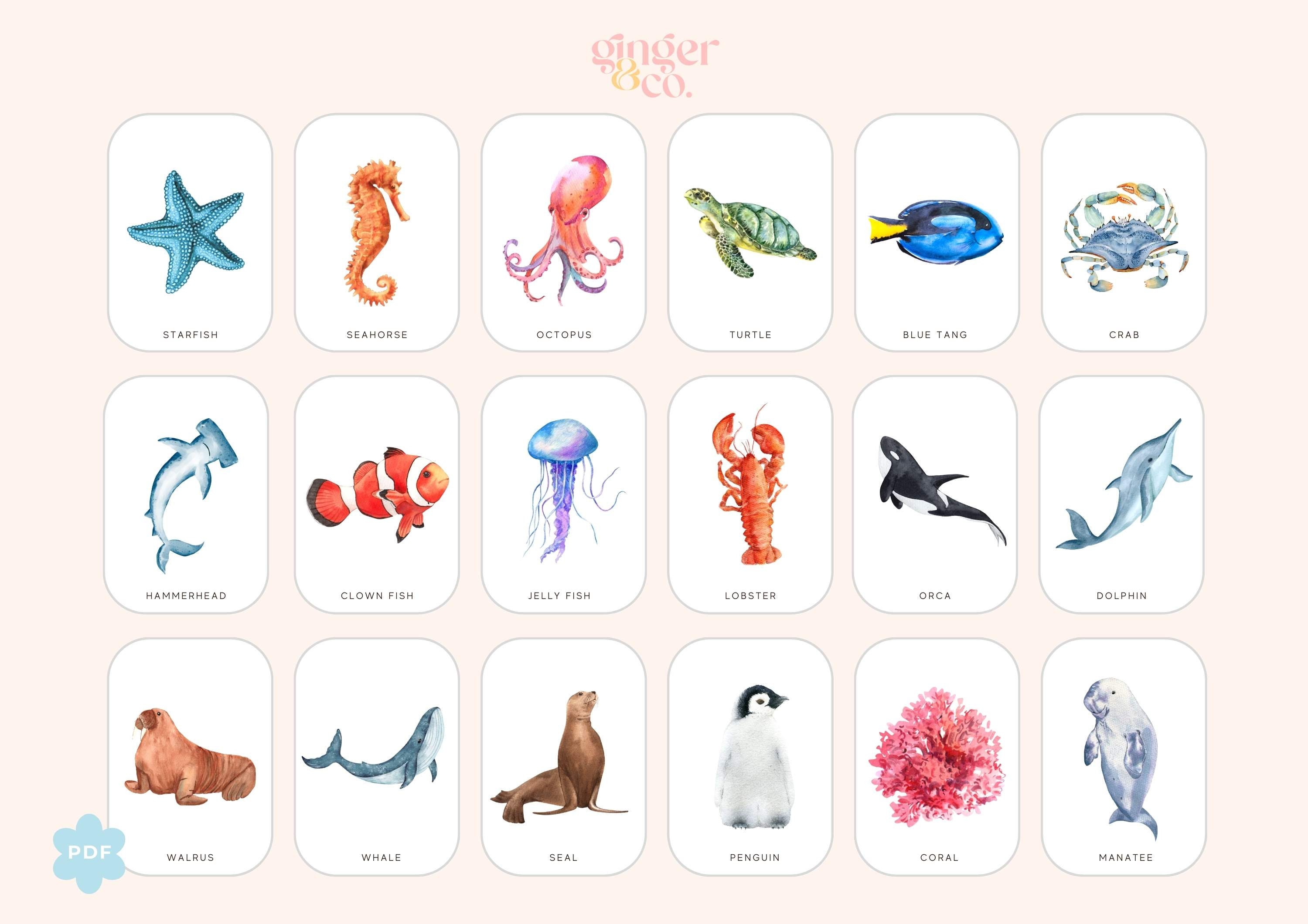 Printable PDF Ocean Animal Cards Toobs Matching Cards - Etsy
