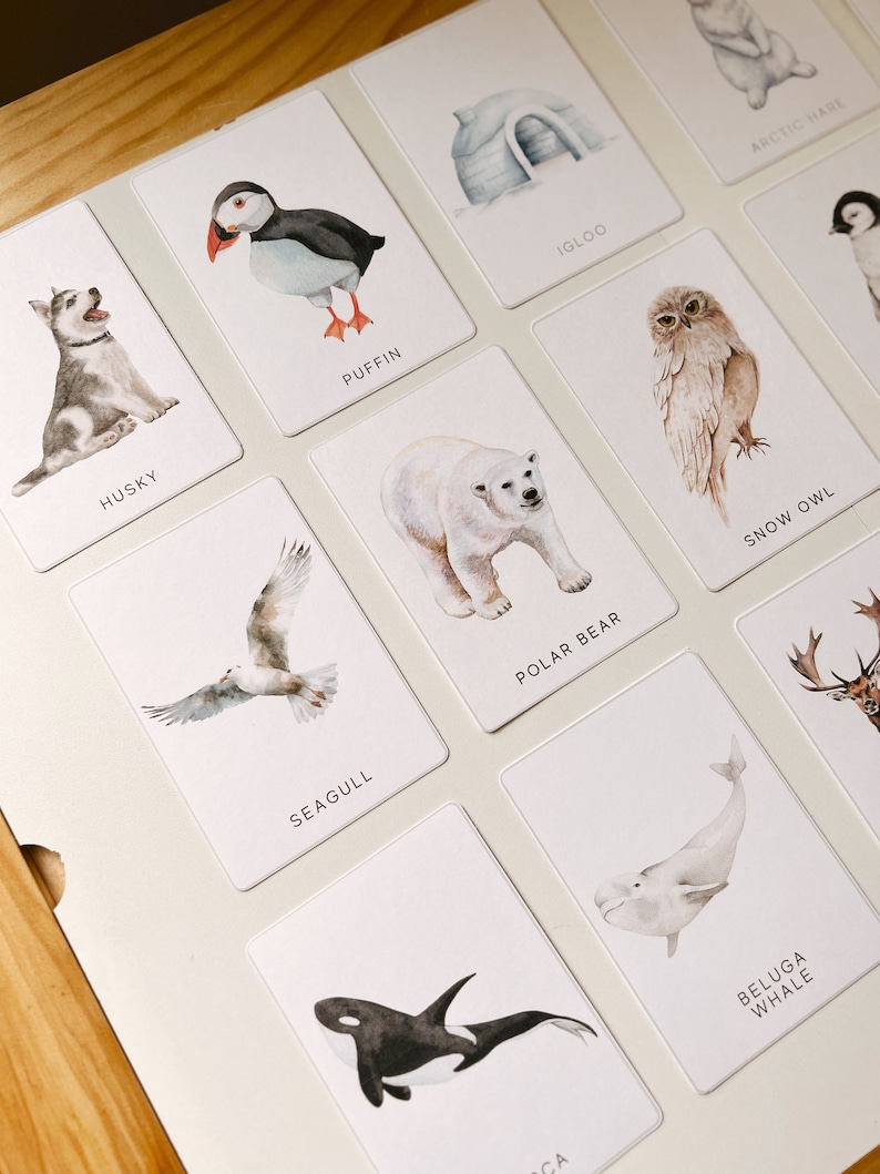 Printable Arctic Forest Animal Cards Toobs Matching Cards, Montessori ...