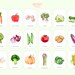 Printable Vegetable Flash Cards Montessori Cards, Homeschool Resources ...