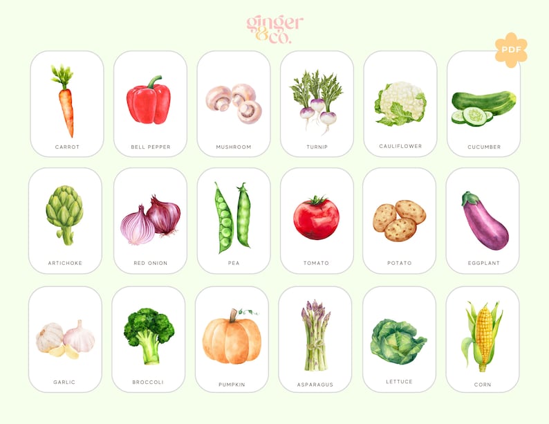 Printable Vegetable Flash Cards Montessori Cards, Homeschool Resources ...