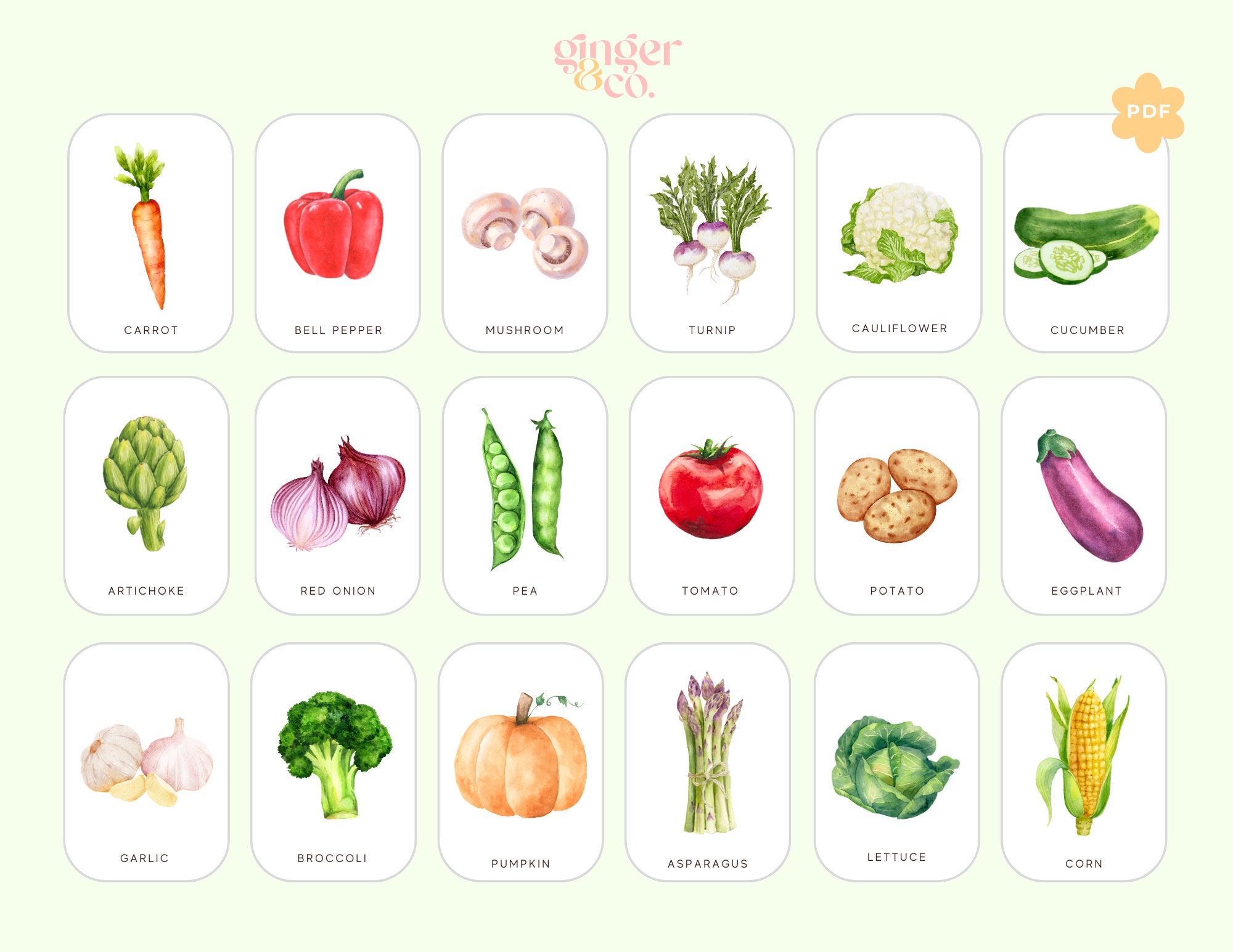 Printable Vegetable Flash Cards Montessori Cards, Homeschool Resources ...
