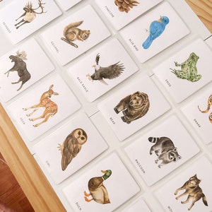 Printable Forest Animal Cards | Toobs Matching Cards, Montessori Flash ...