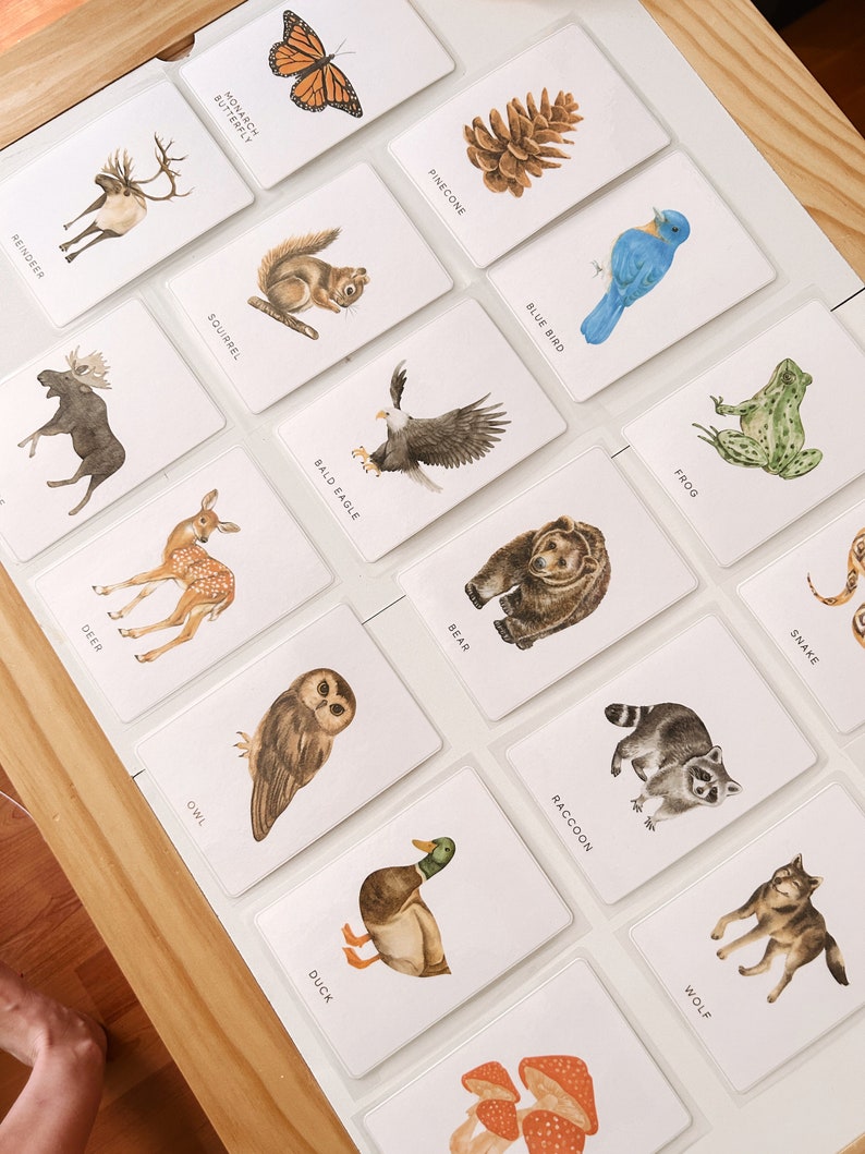 Printable Forest Animal Cards Toobs Matching Cards, Montessori Flash ...
