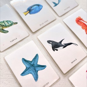 Printable PDF Ocean Animal Cards | Toobs Matching Cards, Montessori ...