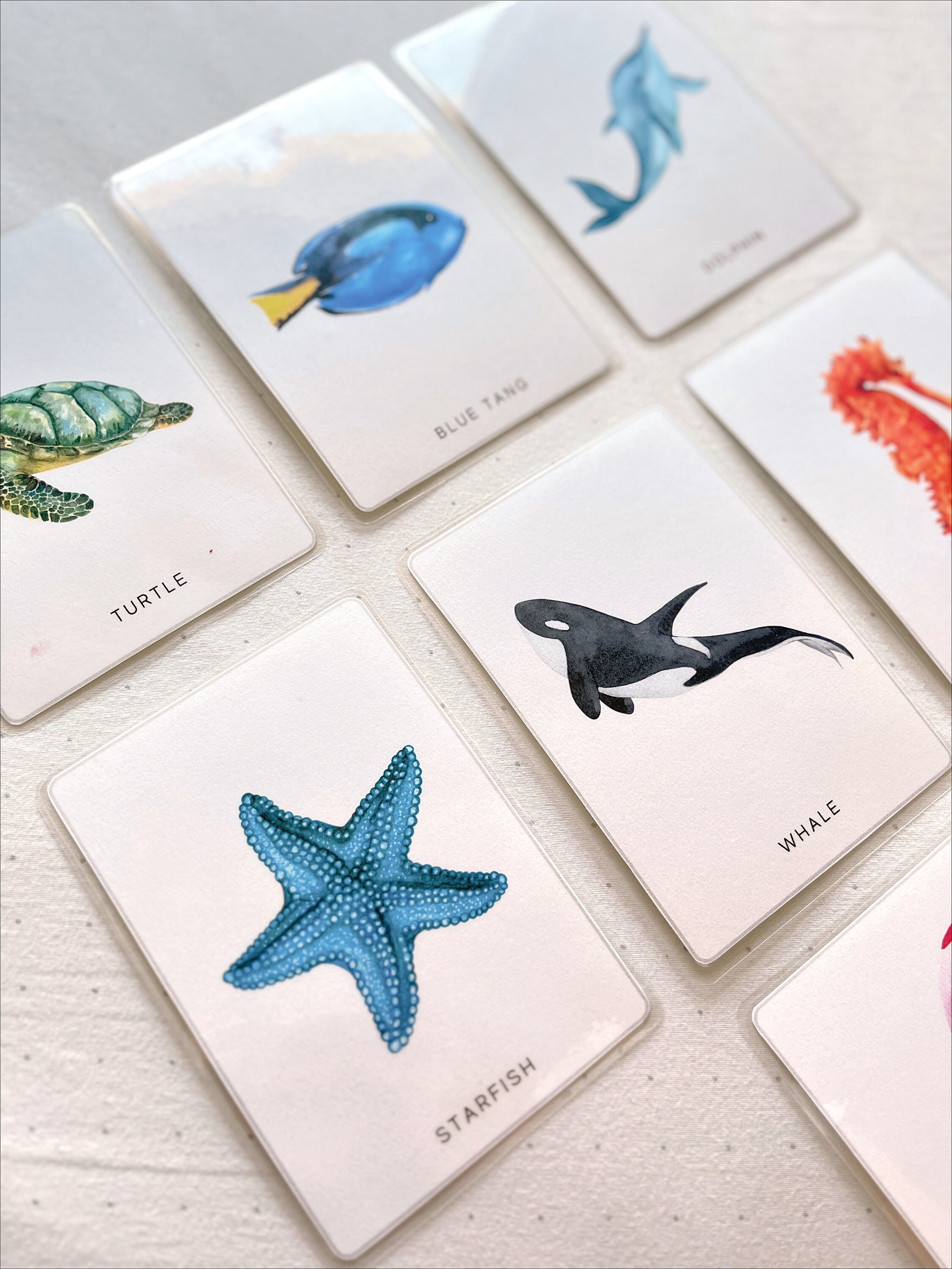 Printable PDF Ocean Animal Cards Toobs Matching Cards - Etsy